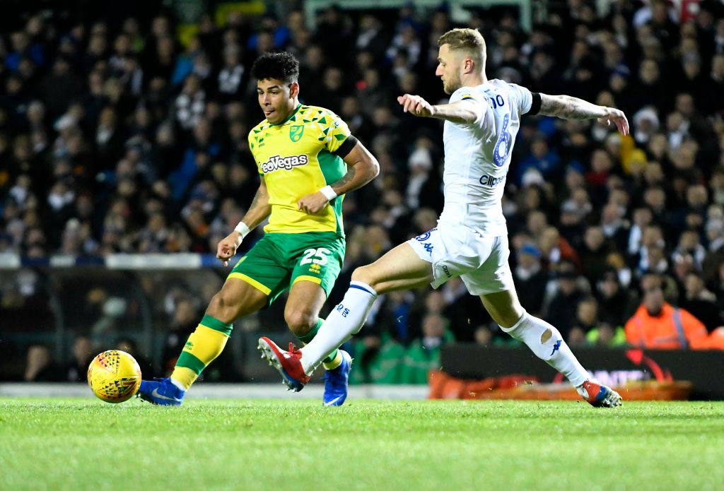Leeds can achieve promotion if they mirror Norwich blueprint