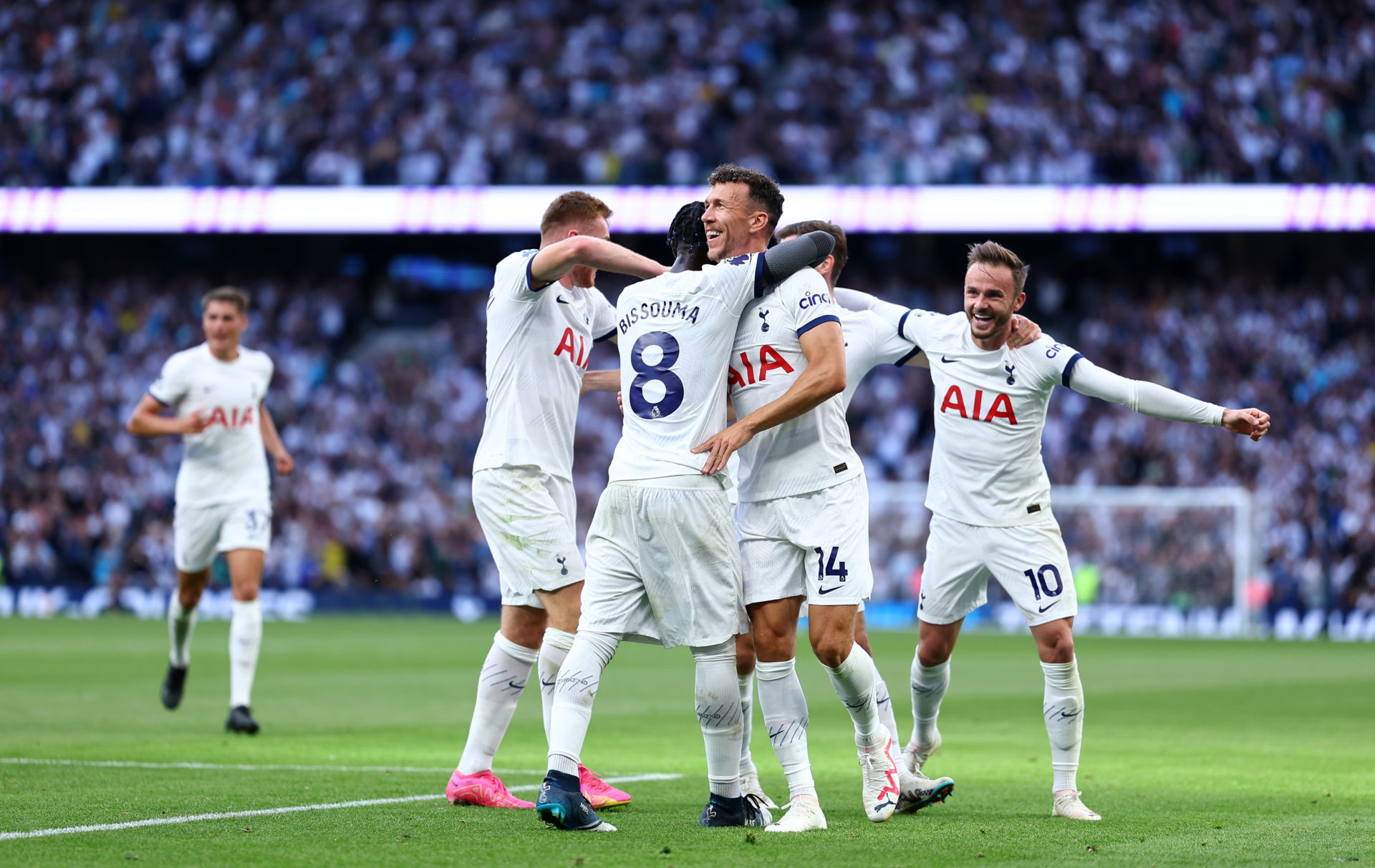 'He does nothing': Pundit criticises what one Spurs signing does off ...
