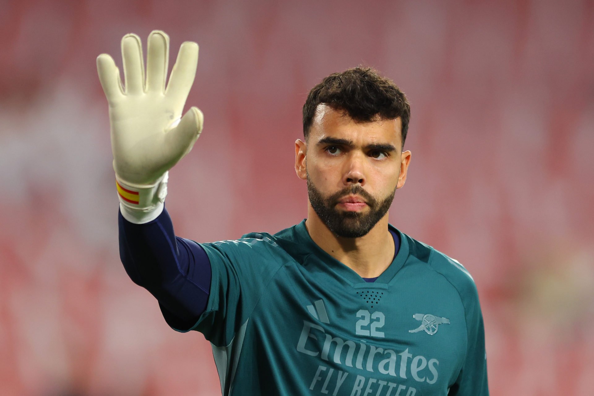 'Magnificent'... David Raya has been so impressed by 25-year-old ... 'Magnificent'... David Raya has been so impressed by 25-year-old ...