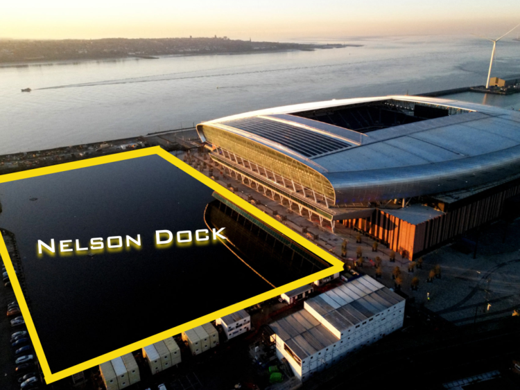 Dan Friedkin taps £5bn market with Everton 'land grab' as Bramley Moore ...